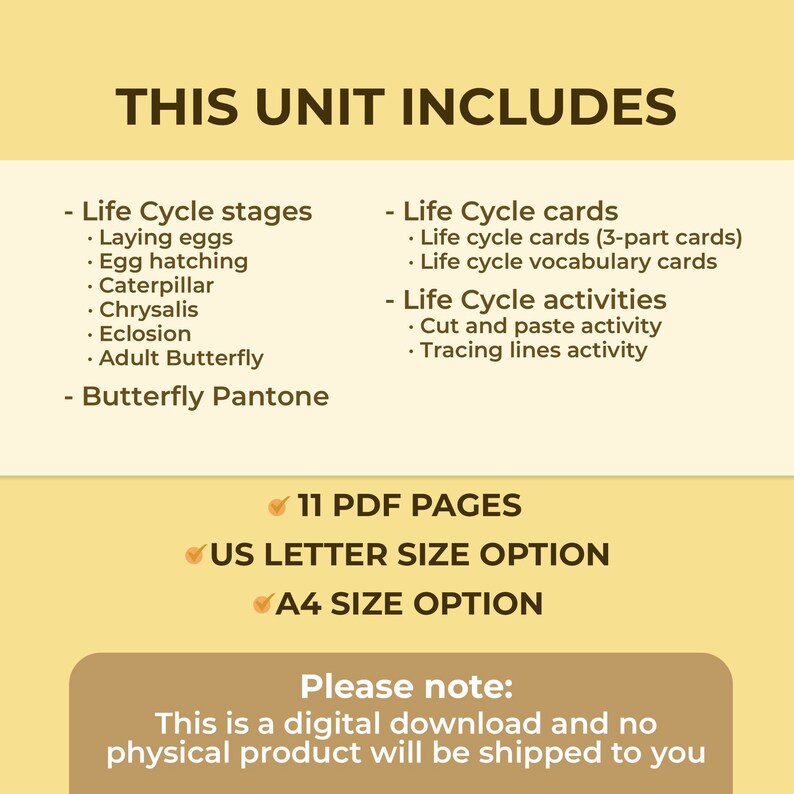 Butterfly Life Cycle Stages of Butterfly Life Cycle Butterfly Nature ...