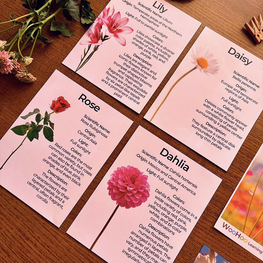 Types of Flowers Unit Study Flower Identification Flowers Montessori ...