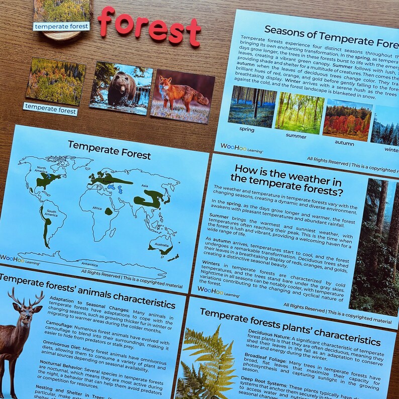 Animal Habitats Unit Study Animals and Habitats Biomes of the World ...