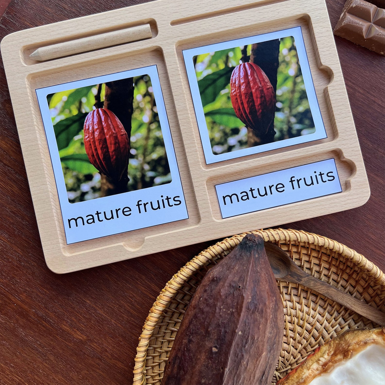 Cacao Tree Life Cycle Cacao Plant Life Cycle Cacao Life Cycle Printable ...