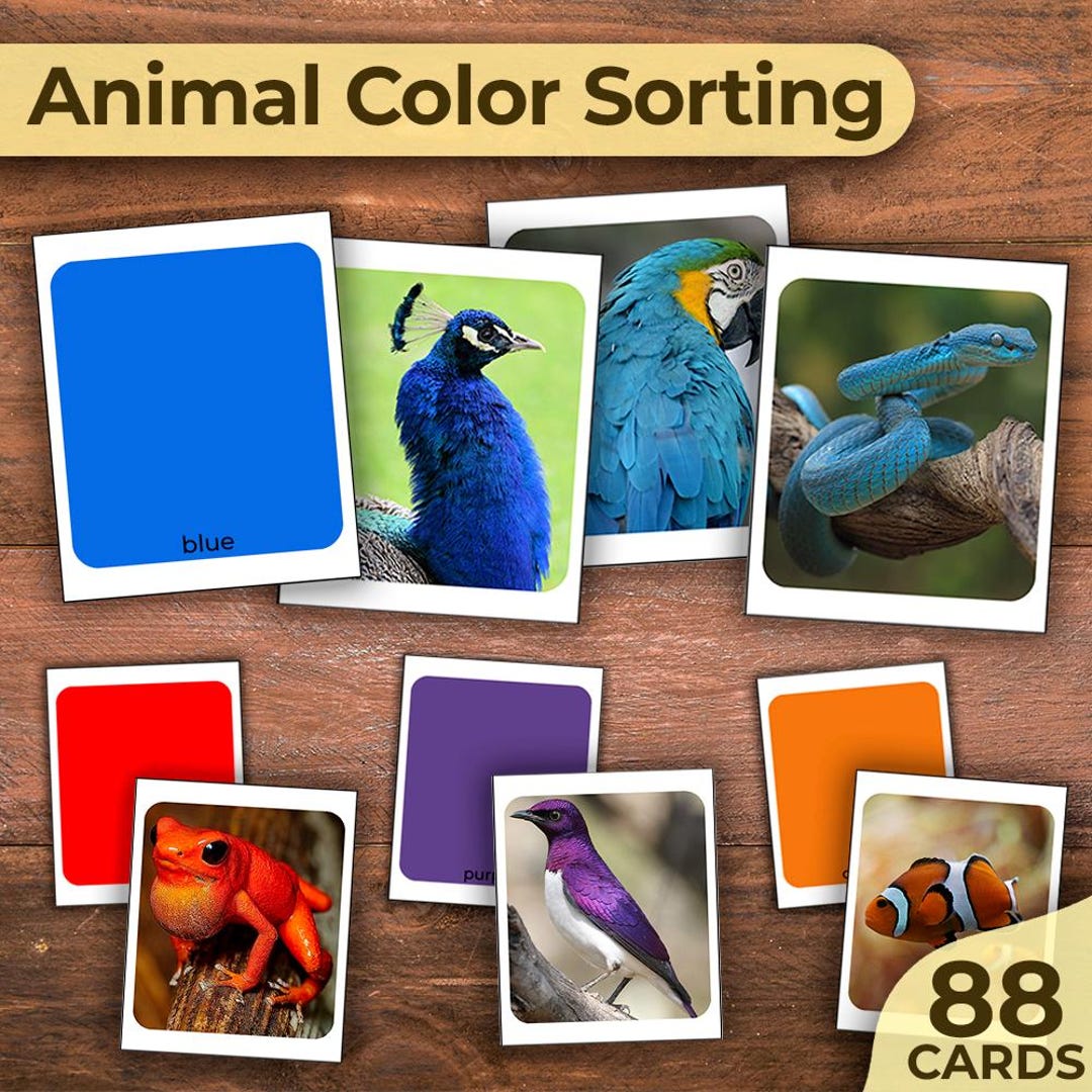 Color Sorting Toddler Activities Color Matching Printable Animal Color ...