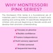 Montessori Pink Series Words Lists Pink Series Montessori CVC Words ...