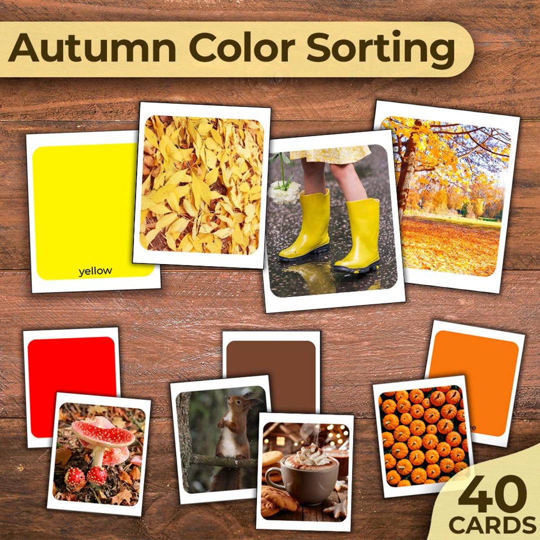 Color Sorting Toddler Activity Autumn Color Sorting Fall Color Sorting ...