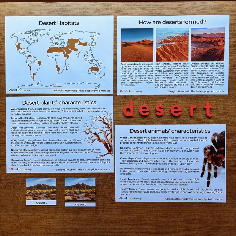 Desert Unit Study Desert Mini Unit Desert Biome Unit Montessori Unit ...