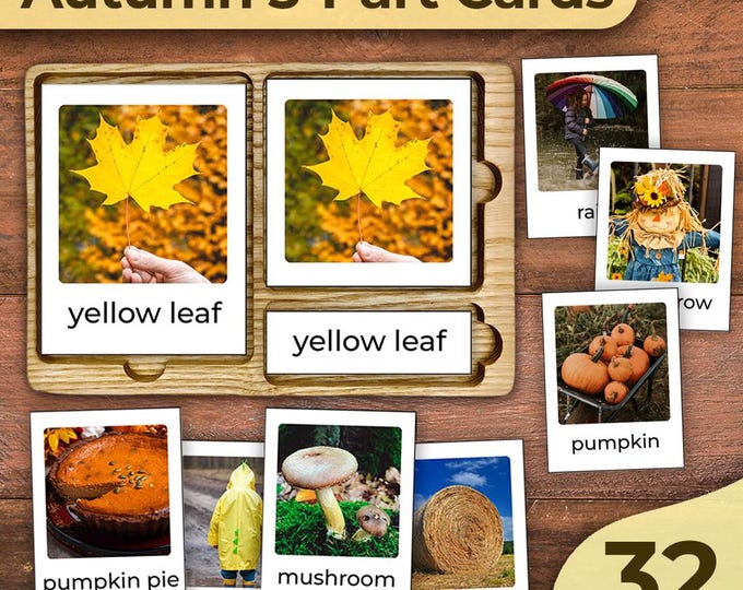 3-part Montessori Vocabulary Cards - Autumn Words - Etsy Canada
