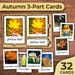 Autumn Vocabulary Cards Fall Season Vocabulary Autumn 3 Part Cards Fall ...