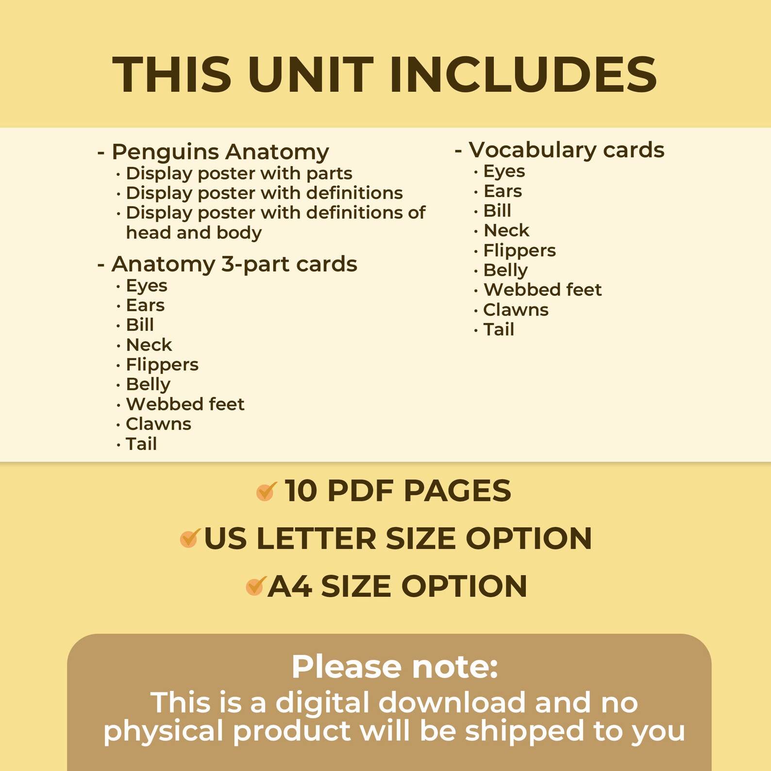 Penguin Anatomy Parts of a Penguin Parts Penguin Anatomy Display Poster ...