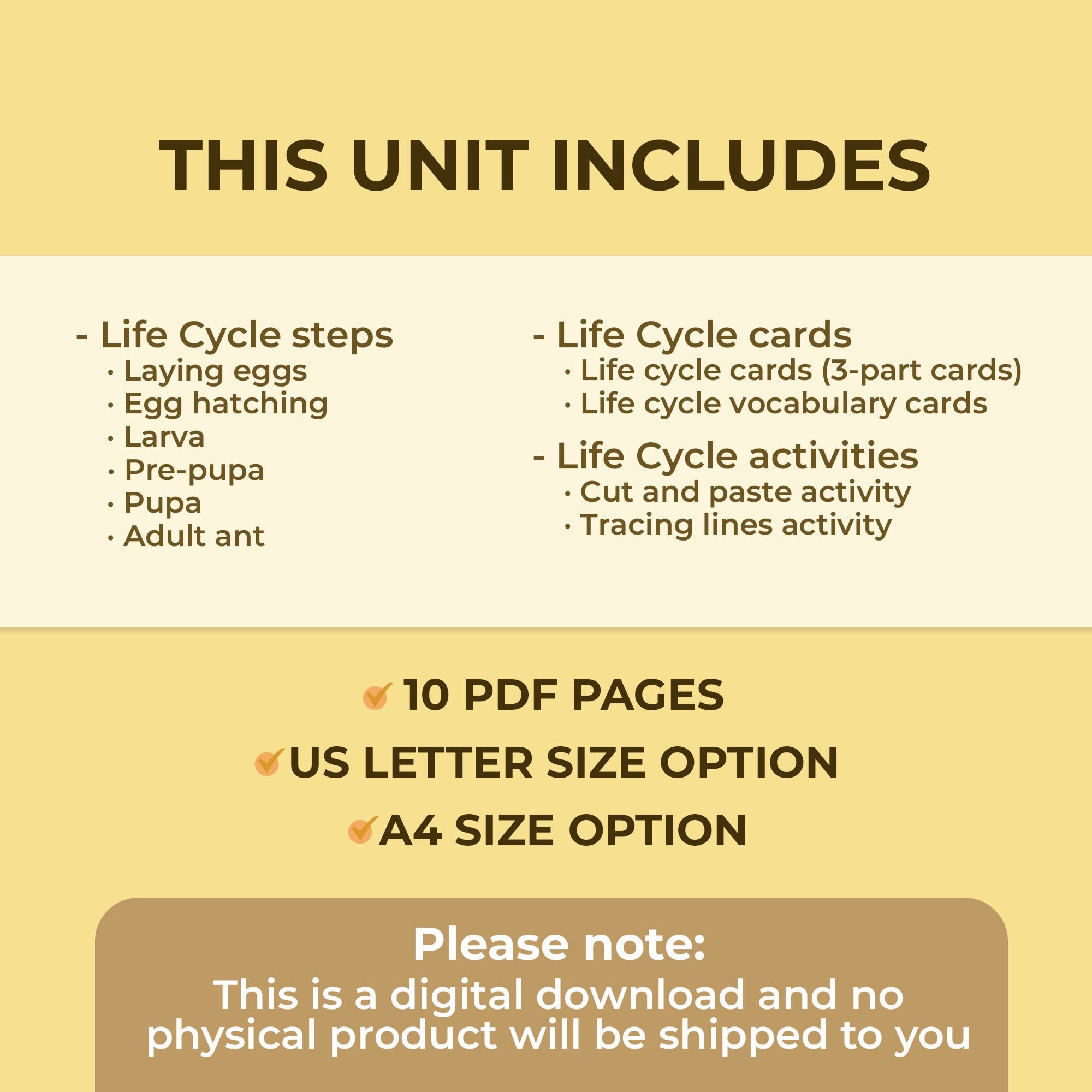 Ants Life Cycle Ant Life Cycle Stages Ants Life Cycle Poster Charlotte ...