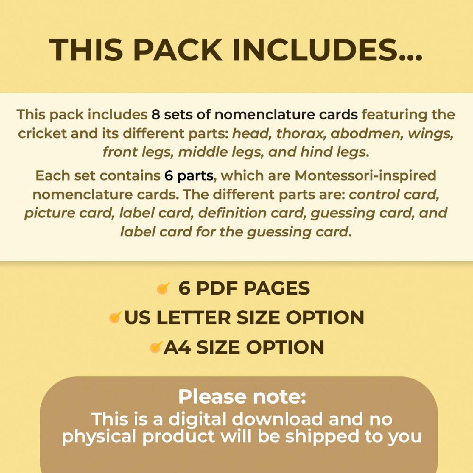 Parts of a Cricket Insect Anatomy Parts of a Cricket Body Parts ...