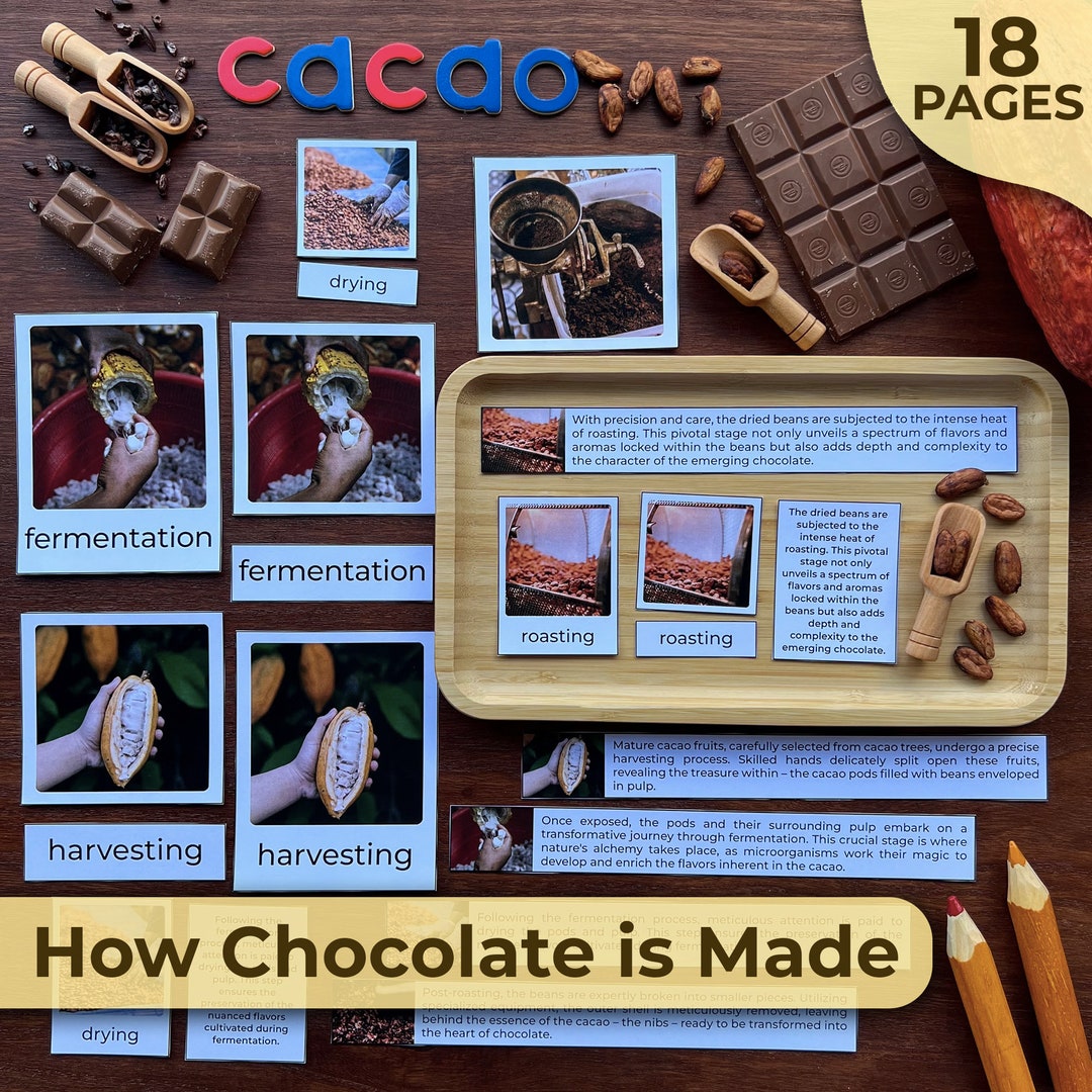 Chocolate Unit Study How Chocolate is Made Unit Study Chocolate Process ...