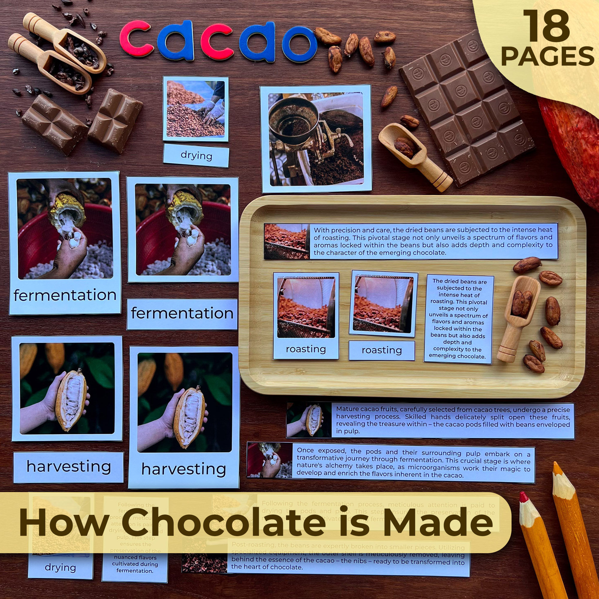 Chocolate Unit Study How Chocolate is Made Unit Study Chocolate Process ...