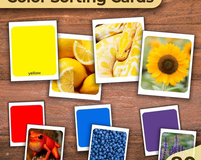 Color Sorting Activity Printable/ Colour Matching for Toddlers ...