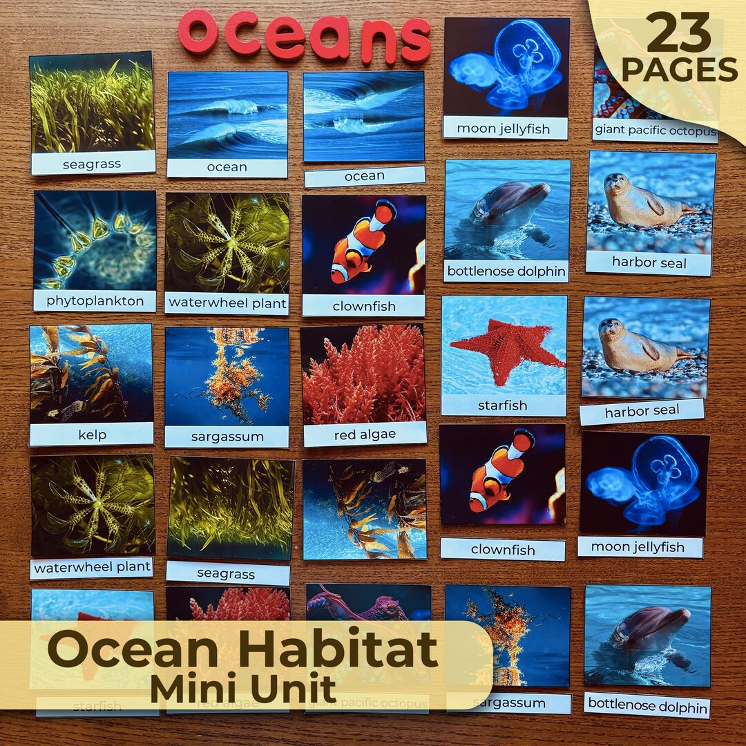 Ocean Habitat Unit Study Ocean Biome Unit All About Oceans Montessori ...
