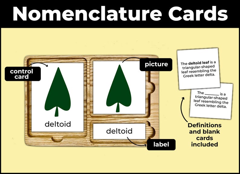 Leaf Shapes 3-part Cards | Type of Leaf Flashcards | Montessori Botany ...