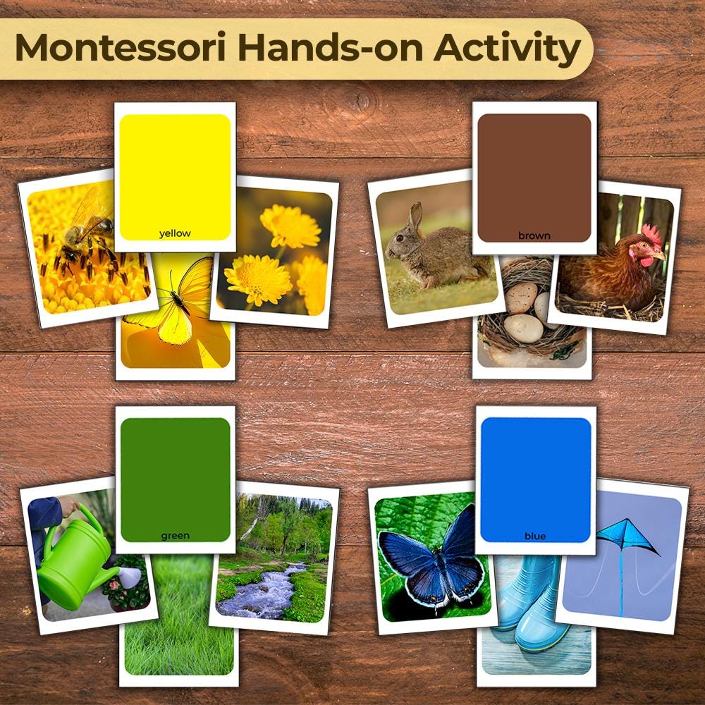 Four Seasons Matching Activity Bundle Color Sorting Activity Game ...