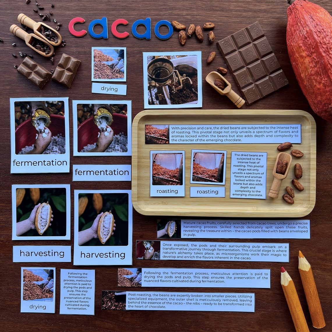 Chocolate Unit Study How Chocolate is Made Unit Study Chocolate Process ...