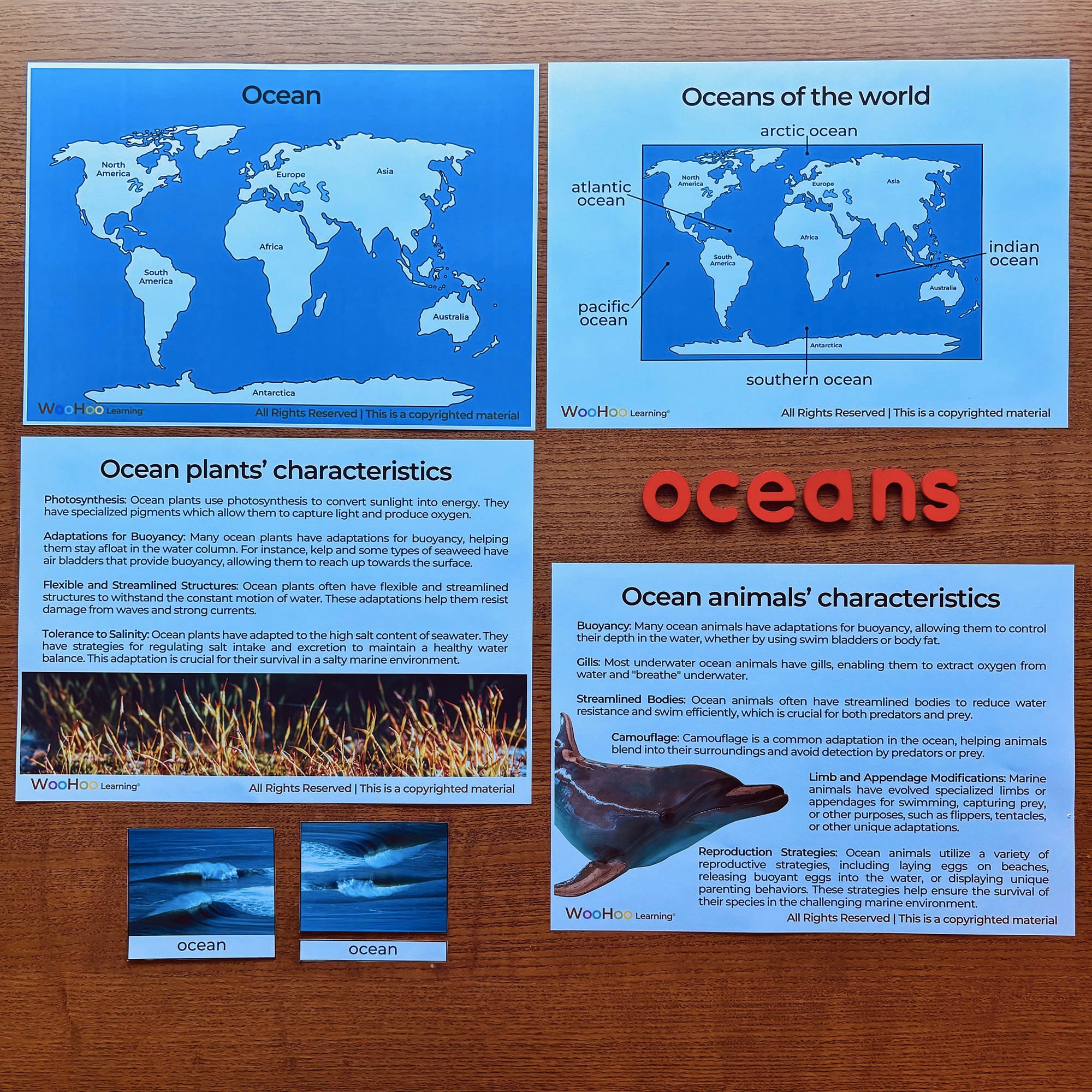 Ocean Habitat Unit Study Ocean Biome Unit All About Oceans Montessori ...