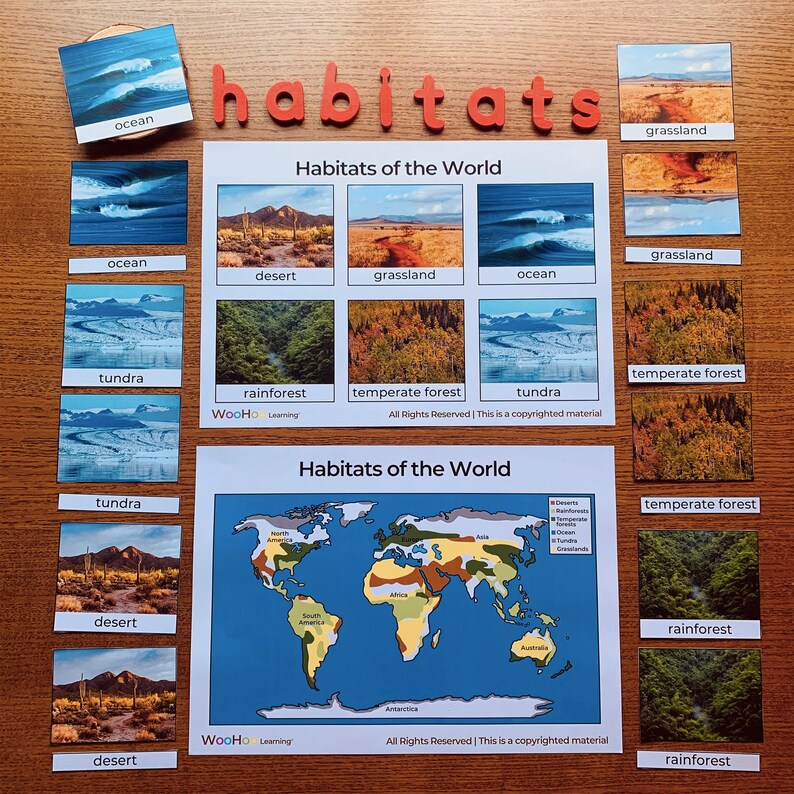 Animal Habitats Unit Study Animals and Habitats Biomes of the World ...