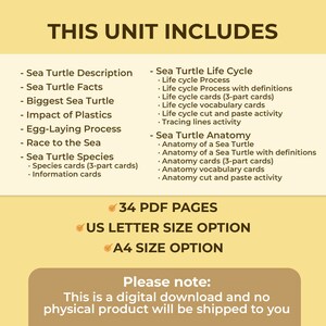 Sea Turtle Unit Study All About Sea Turtles Anatomy Sea Turtle Life ...