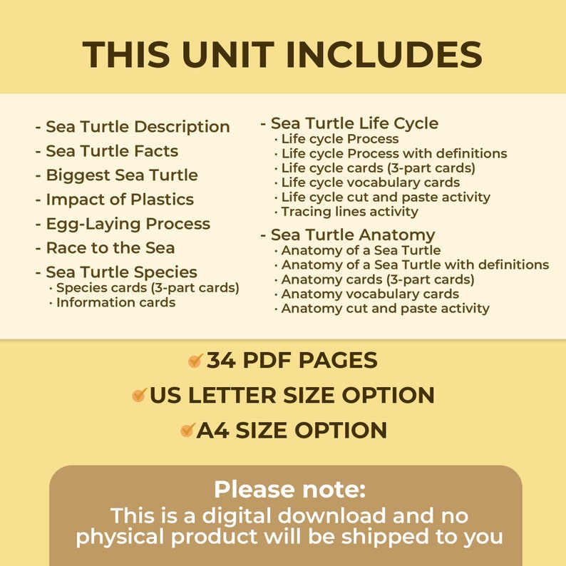Sea Turtle Unit Study All About Sea Turtles Anatomy Sea Turtle Life ...