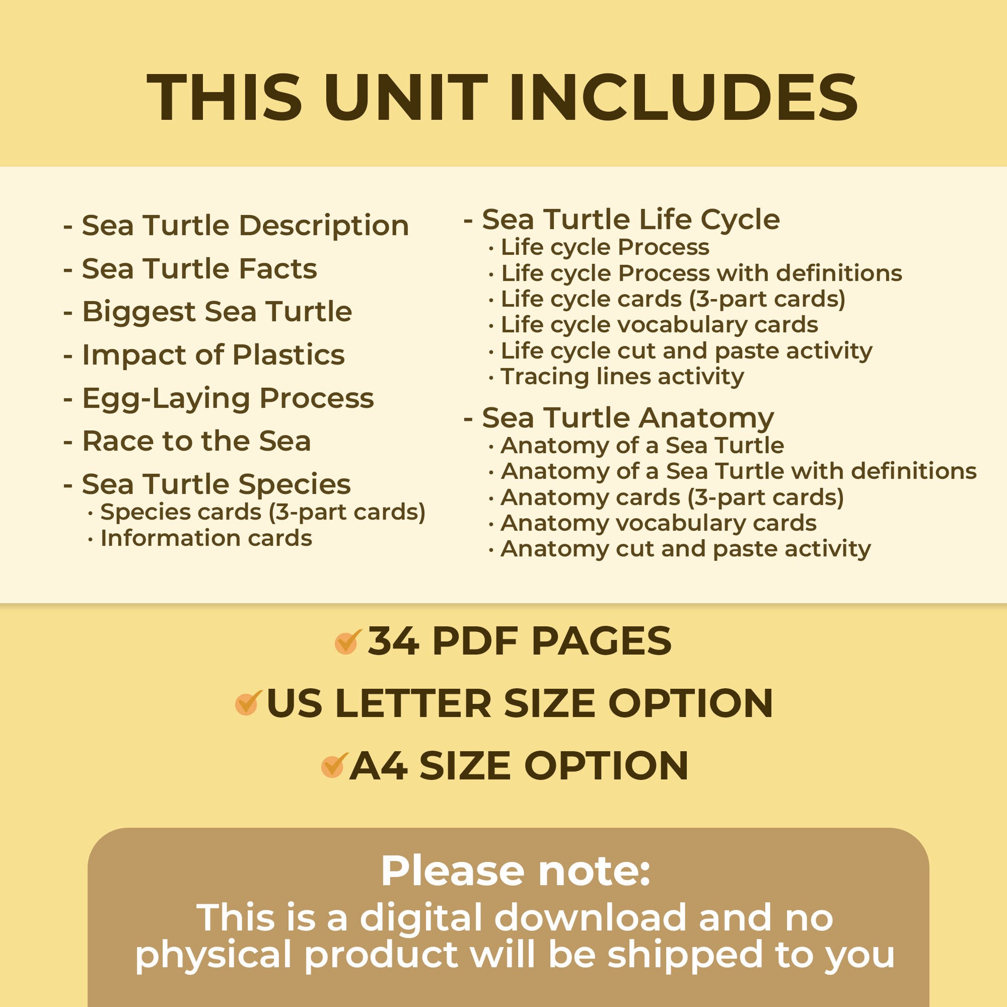 Sea Turtle Unit Study All About Sea Turtles Anatomy Sea Turtle Life ...