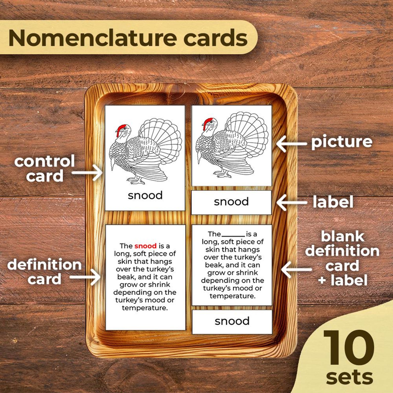Turkey Anatomy Parts of a Wild Turkey Nomenclature Cards Tom Turkey ...