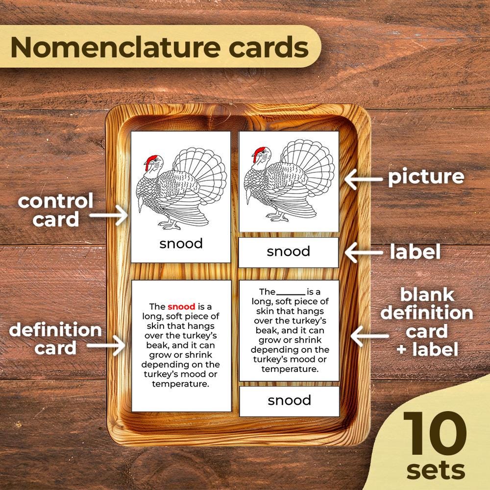 Turkey Anatomy Parts of a Wild Turkey Nomenclature Cards Tom Turkey ...