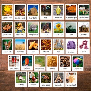 Autumn Vocabulary Cards Fall Season Vocabulary Autumn 3 Part Cards Fall ...