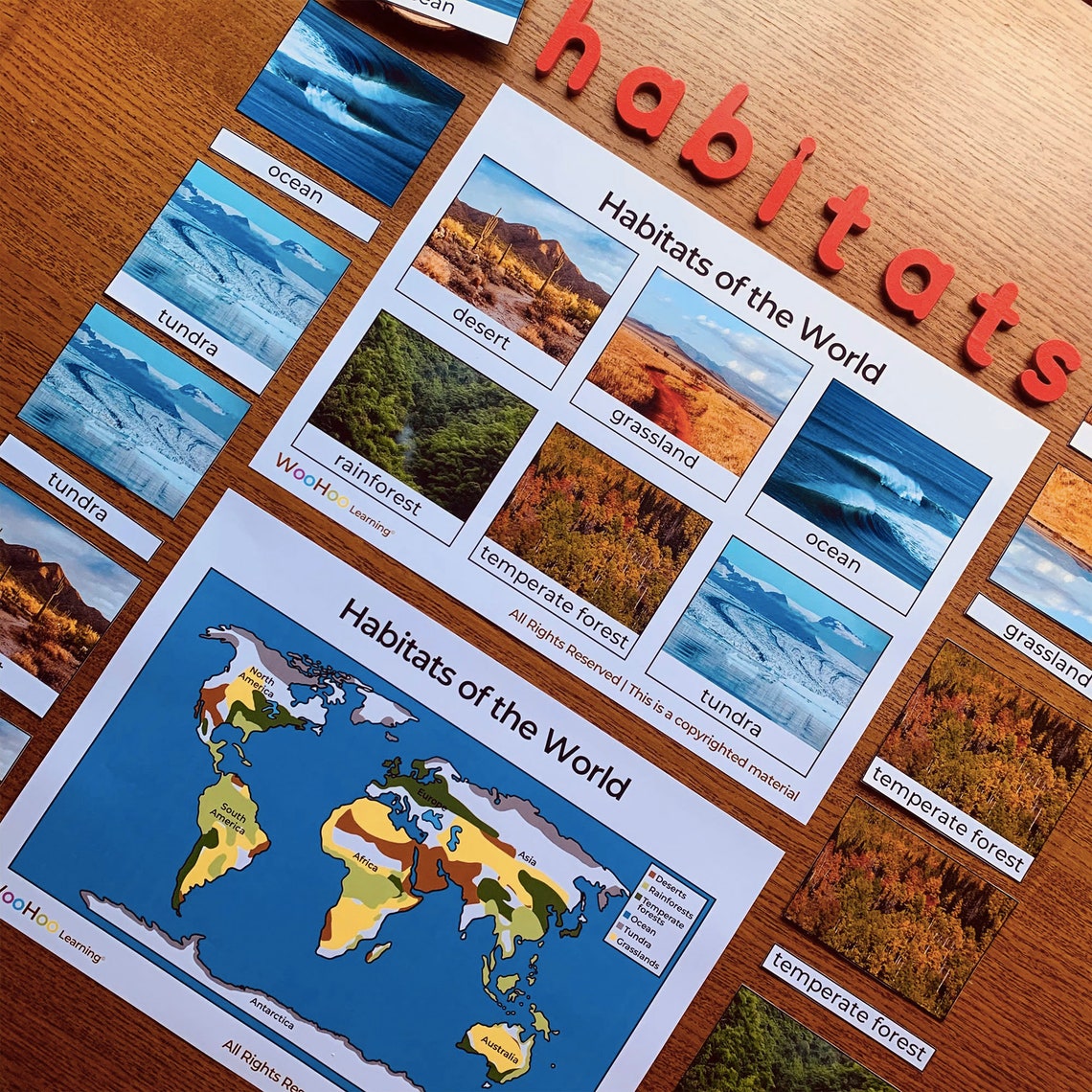 Grassland Habitat Unit Study Grassland Biome Grassland Animals ...