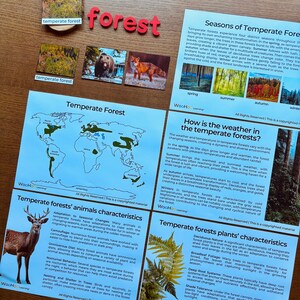 Temperate Forest Habitat Unit Study Temperate Forest Biome All About ...