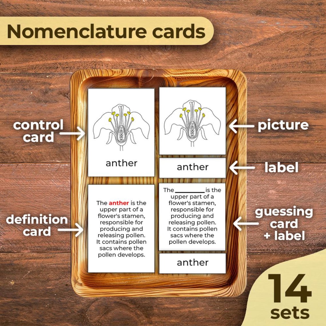 Parts of a Flower Nomenclature Cards Anatomy of a Flower Cards Flower ...