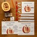 Pumpkin Unit Study Pumpkin Life Cycle Pumpkin Anatomy Montessori ...