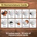 Turkey Anatomy Parts of a Wild Turkey Nomenclature Cards Tom Turkey ...