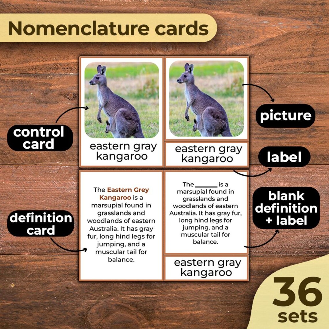 Animals of Australia Flashcards Animals Nomenclature Cards Amazing ...