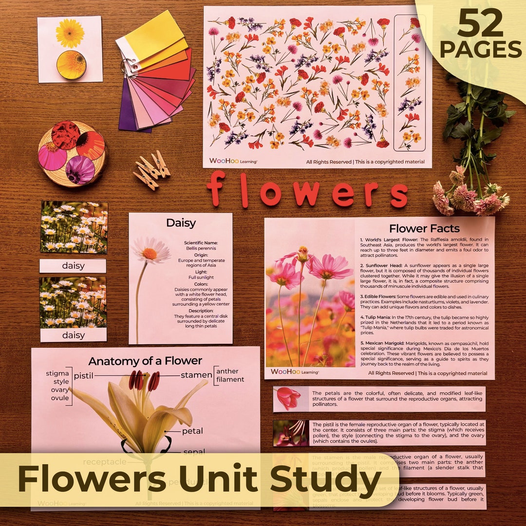 Flowers Unit Study All About Flowers Science Unit Flowers Science ...