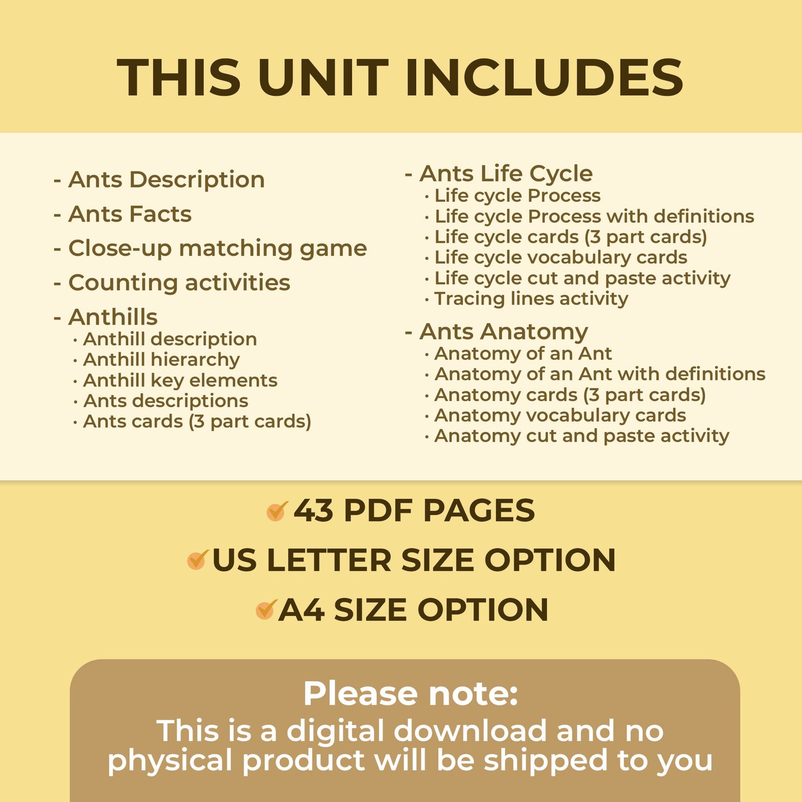 Ants Unit Study Ants Life Cycle Ants Anatomy Ant Unit Study for Kids ...