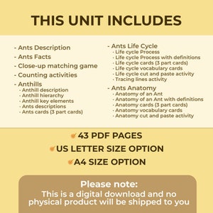 Ants Unit Study Ants Life Cycle Ants Anatomy Ant Unit Study for Kids ...