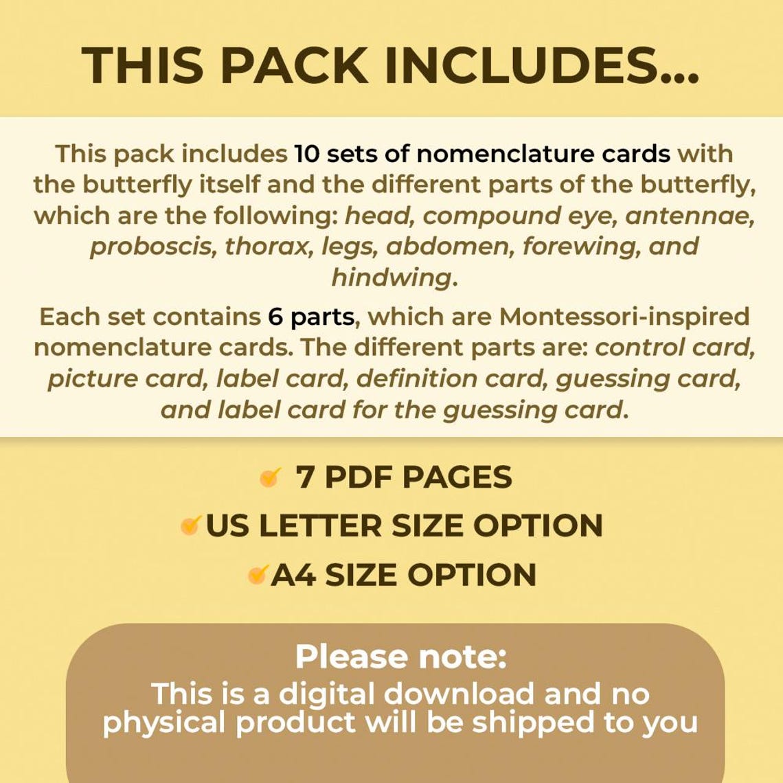 Parts of a Butterfly the Body Parts of a Butterfly Anatomy Parts ...