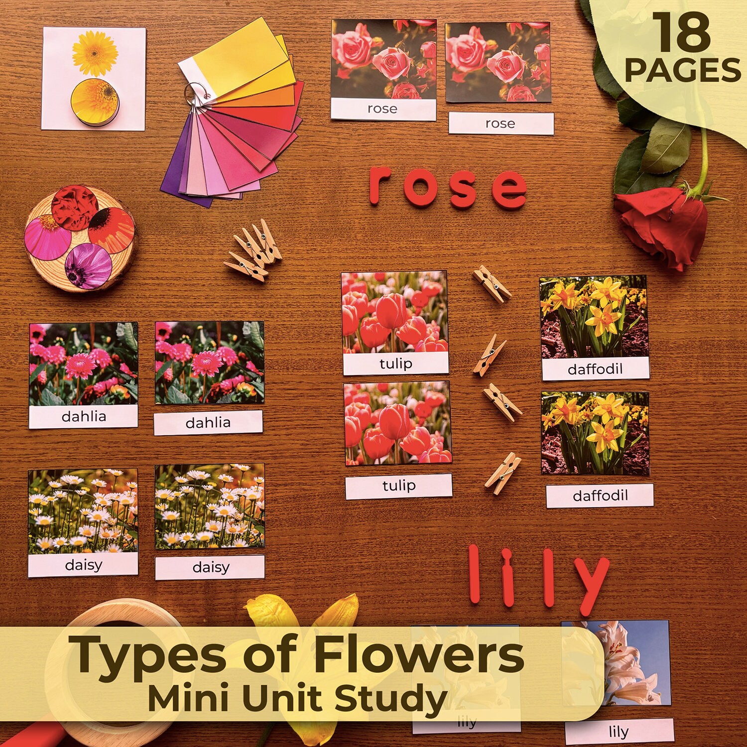 Types of Flowers Unit Study Flower Identification Flowers Montessori ...