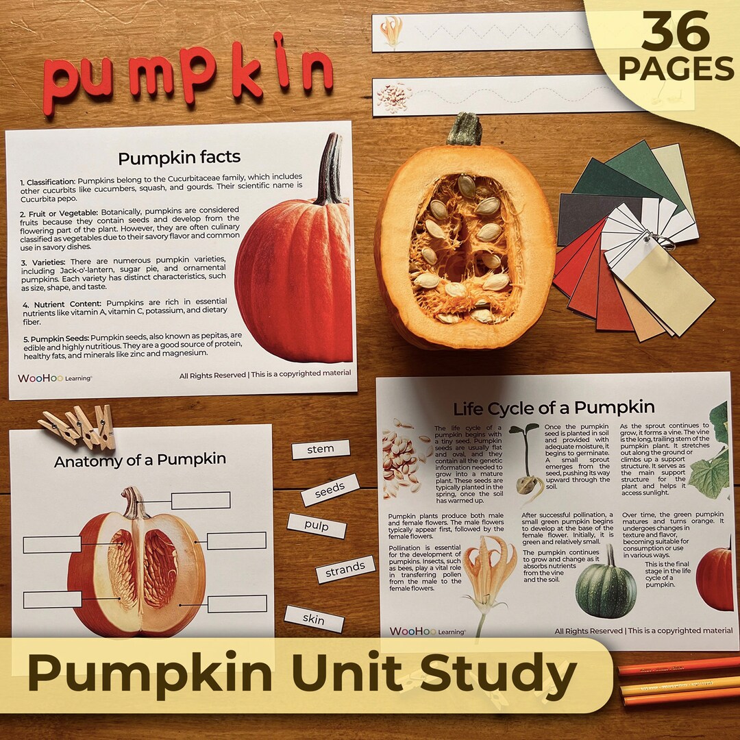 Pumpkin Unit Study Pumpkin Life Cycle Pumpkin Anatomy Montessori ...