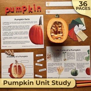 Pumpkin Unit Study Pumpkin Life Cycle Pumpkin Anatomy Montessori ...