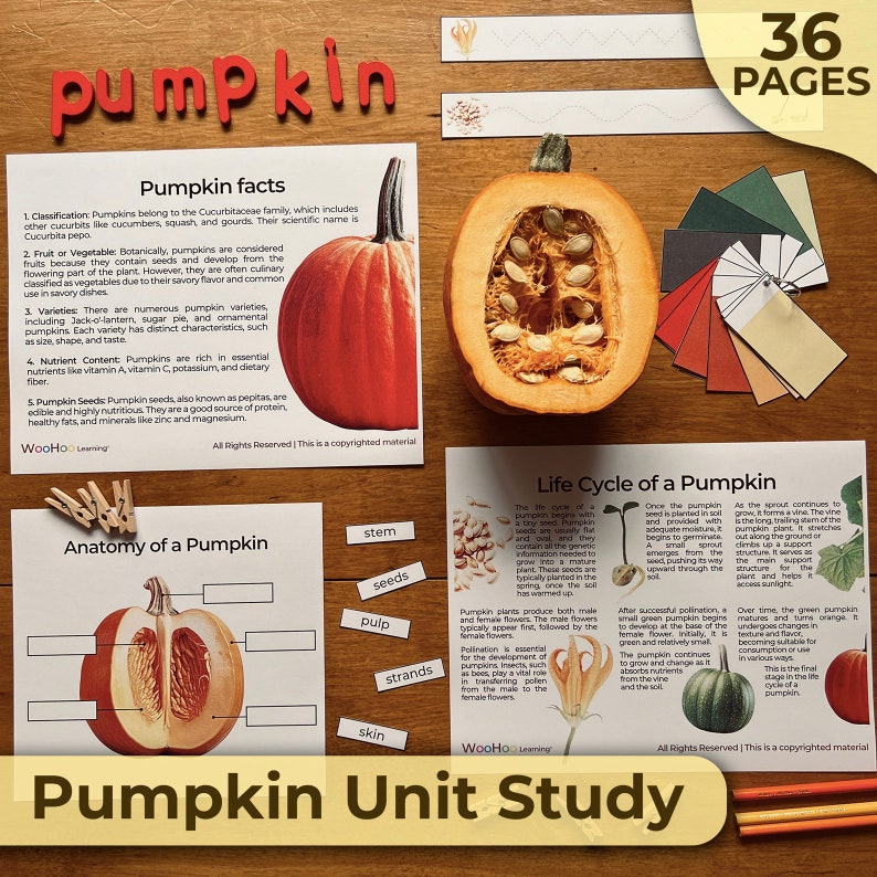 Pumpkin Unit Study Pumpkin Life Cycle Pumpkin Anatomy Montessori ...
