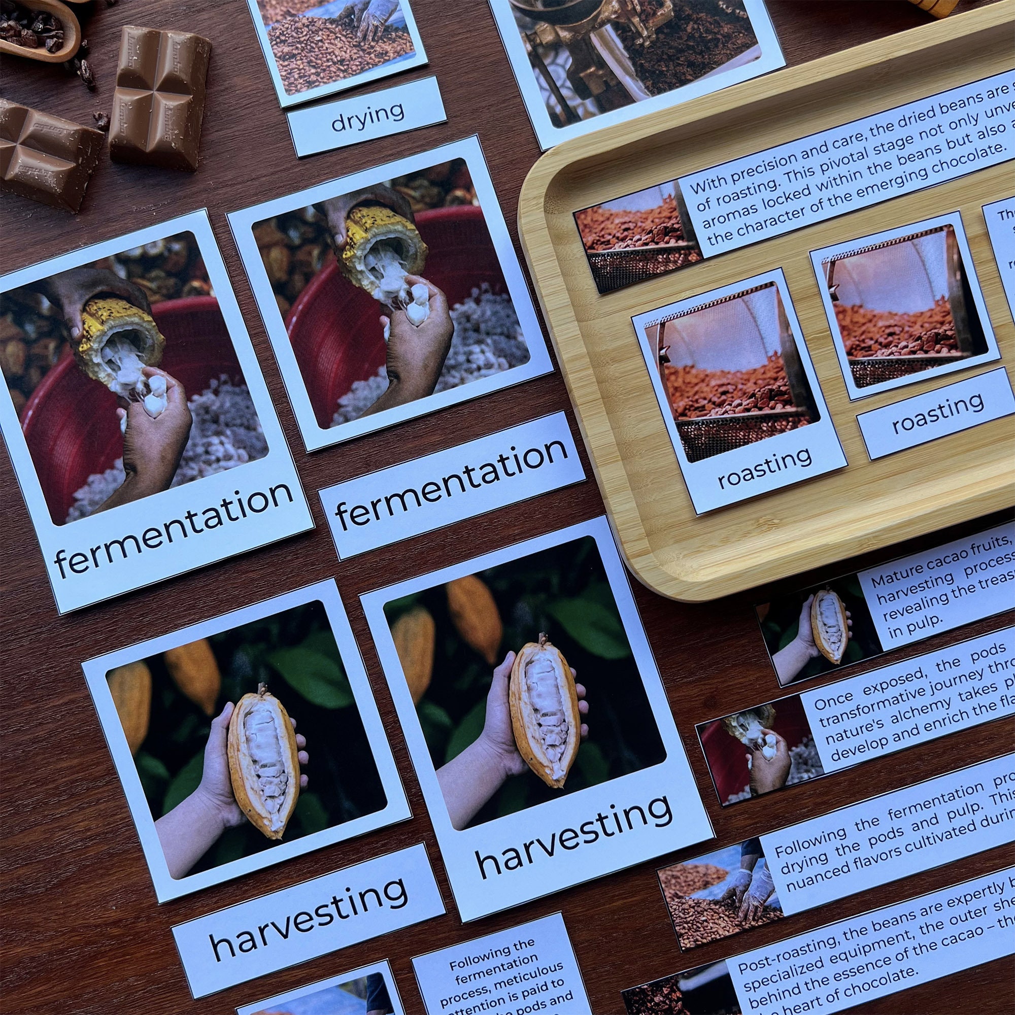 Chocolate Unit Study How Chocolate is Made Unit Study Chocolate Process ...