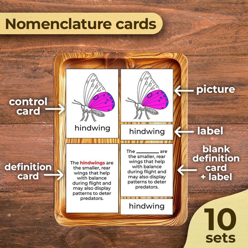 Parts of a Butterfly the Body Parts of a Butterfly Anatomy Parts ...