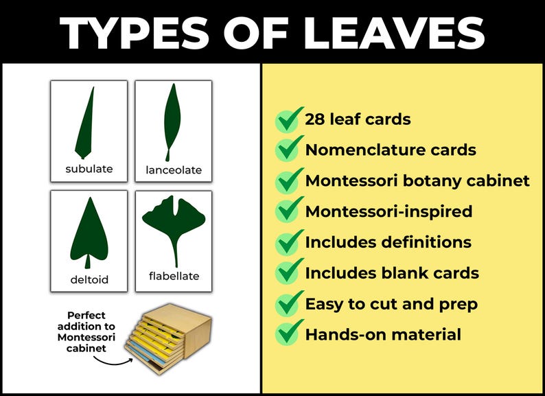 Leaf Shapes 3-part Cards | Type of Leaf Flashcards | Montessori Botany ...