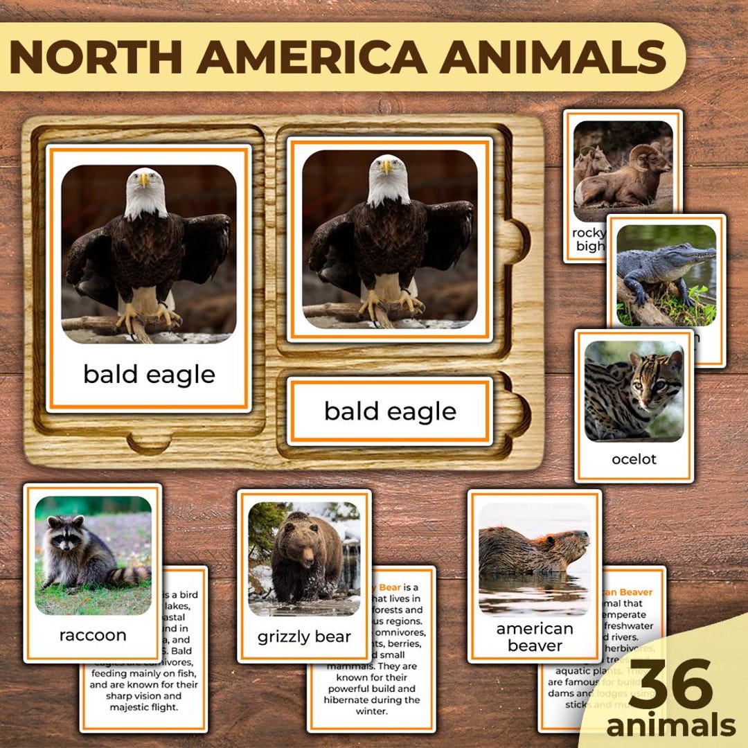 Animals of North America Montessori Color-coded Montessori Nomenclature ...