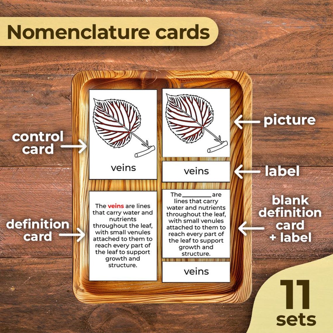 Parts of a Leaf Montessori Botany Nomenclature Cards Leaf Labeled ...