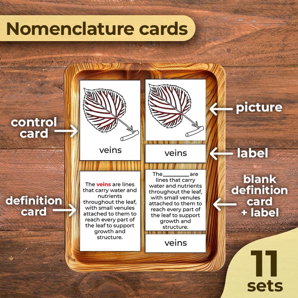 Parts of a Leaf Montessori Botany Nomenclature Cards Leaf Labeled ...