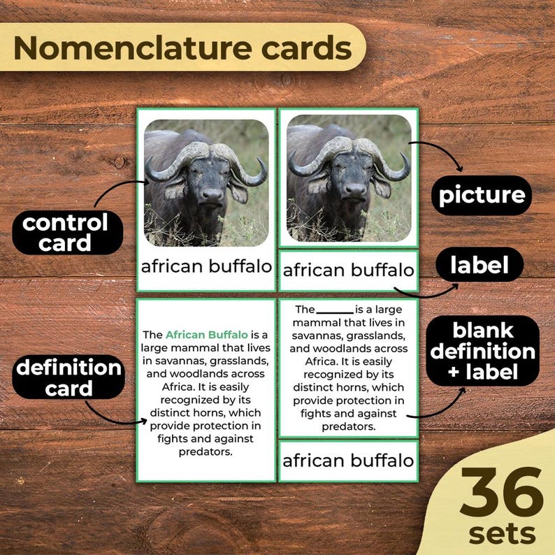 Animals of Africa African Savanna Animals Safari Animals Montessori ...