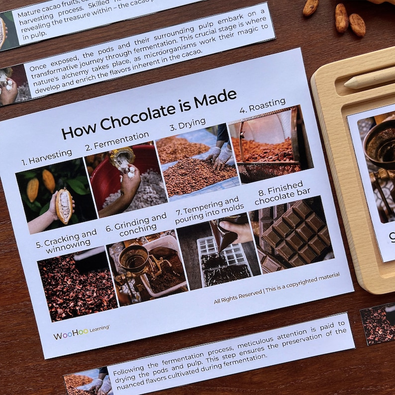 Chocolate Unit Study How Chocolate is Made Unit Study Chocolate Process ...
